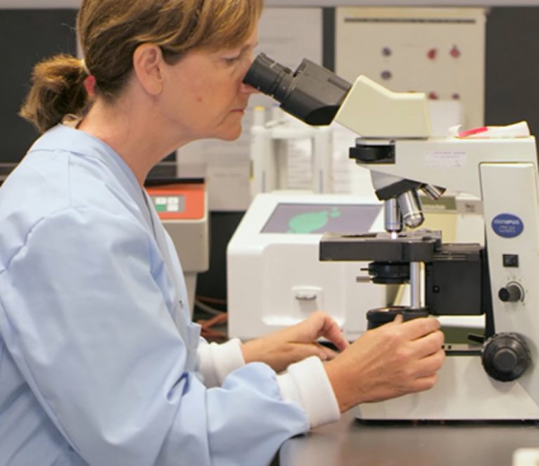 Pathology | Uni Vets Camden